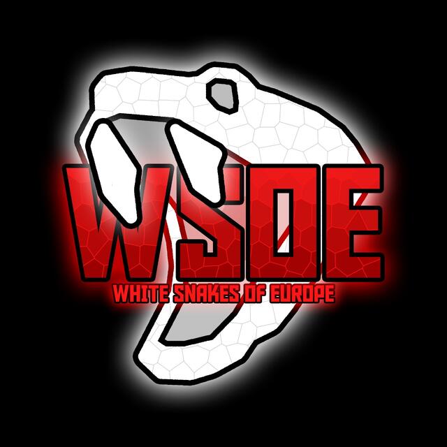 WSOE von laut.fm – Gaming Radio.