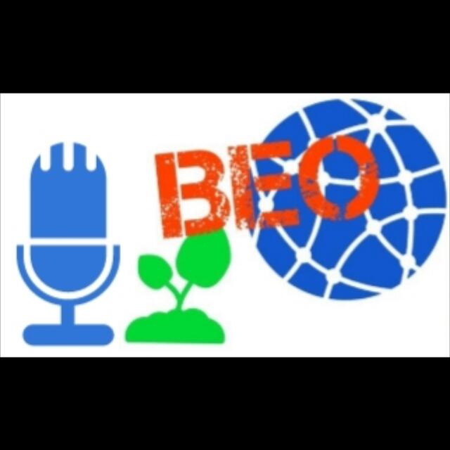 BEO-RADIO von laut.fm